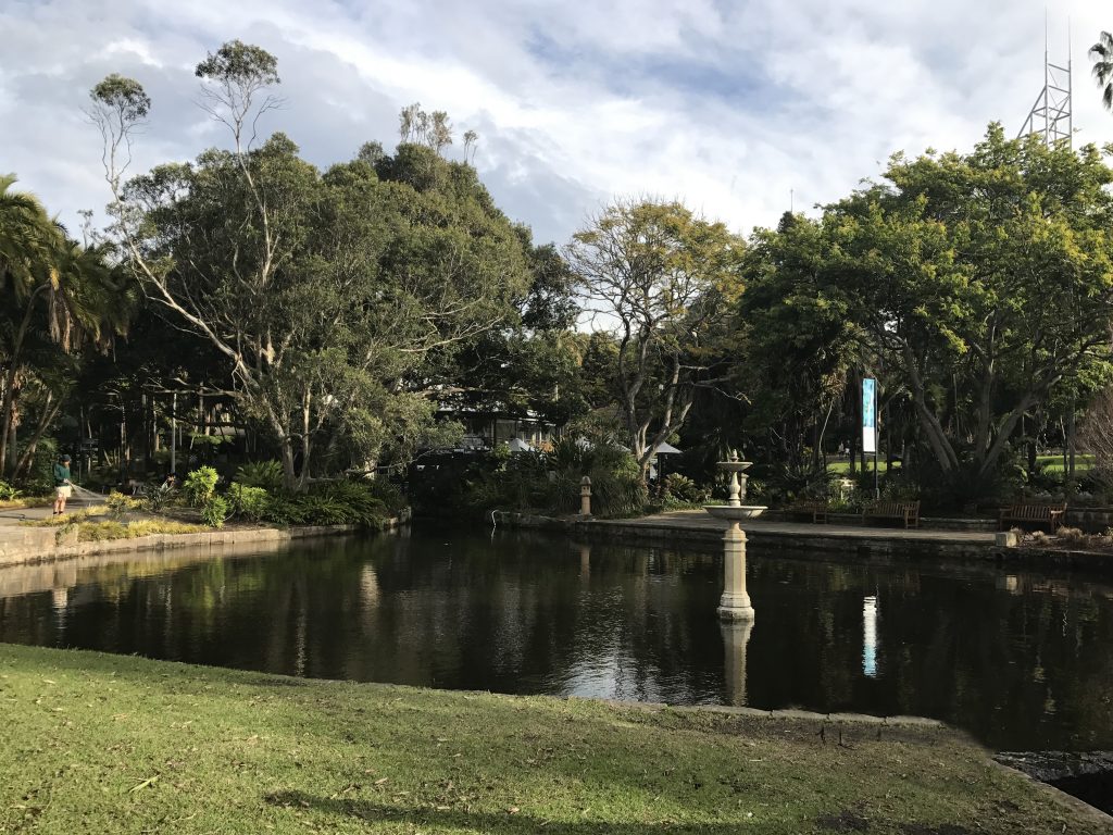 The Royal Botanic Garden Sydney Lotus Pond Rejuvenation – COMPLETE URBAN
